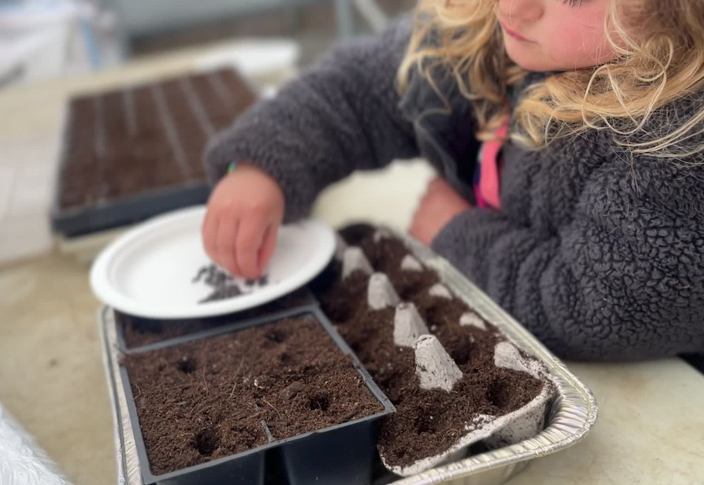 Step-by-Step: How to Start Flower Seeds Indoors for a Beautiful Garden ...