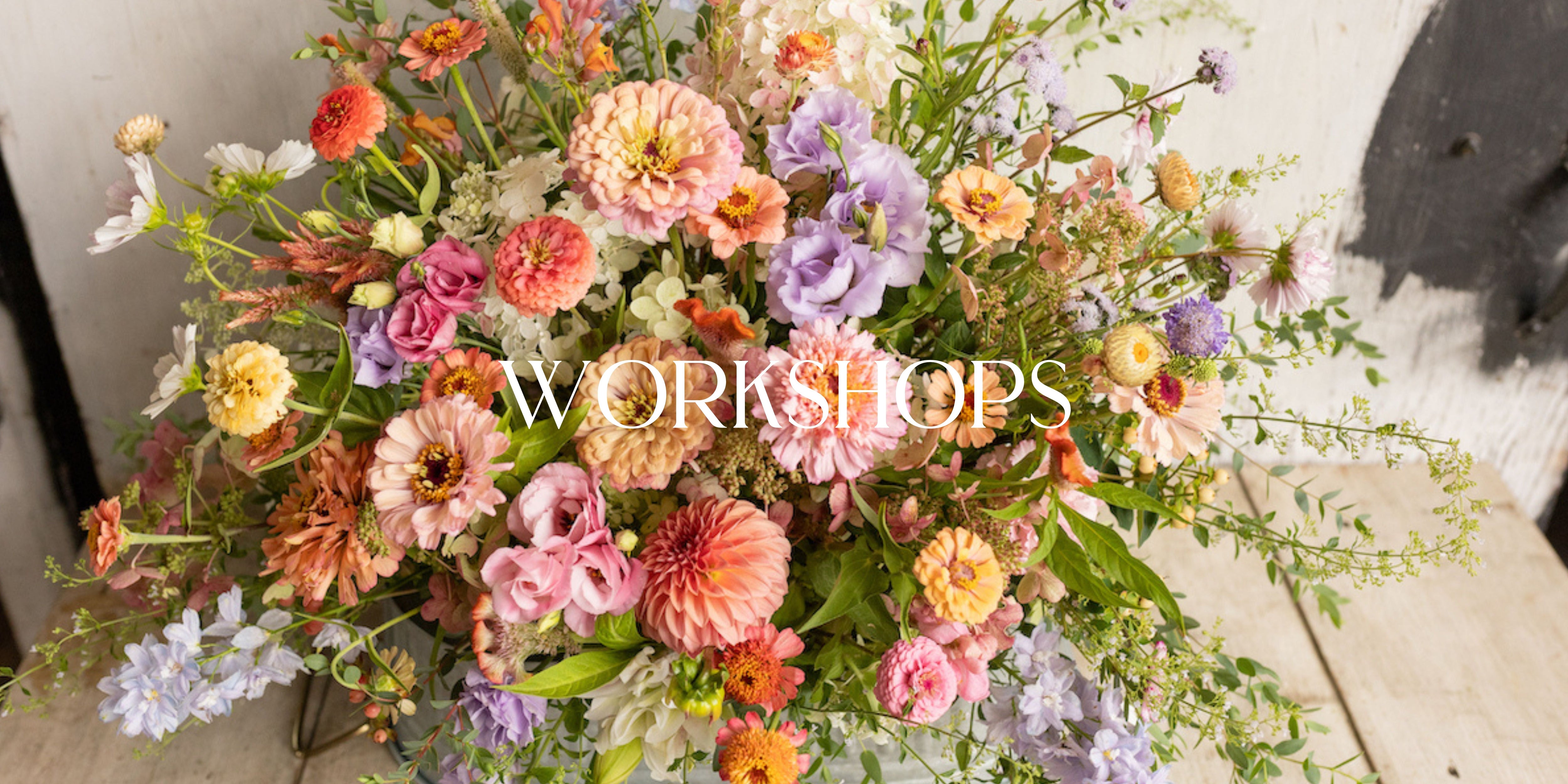 Workshops - Rooted Flowers