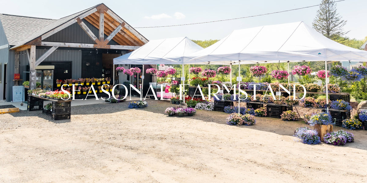 Seasonal Farmstand - Rooted Flowers