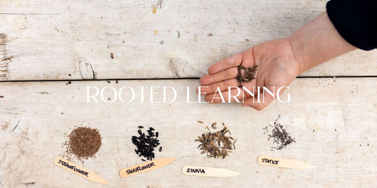Online Learning - Rooted Flowers