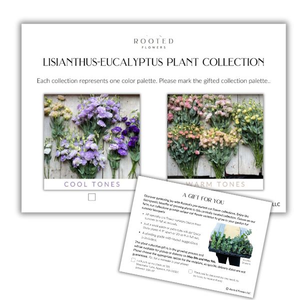 Plant Collection Gift Card - Rooted Flowers
