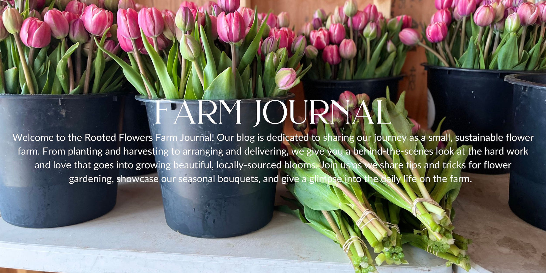Farm Journal - Rooted Flowers