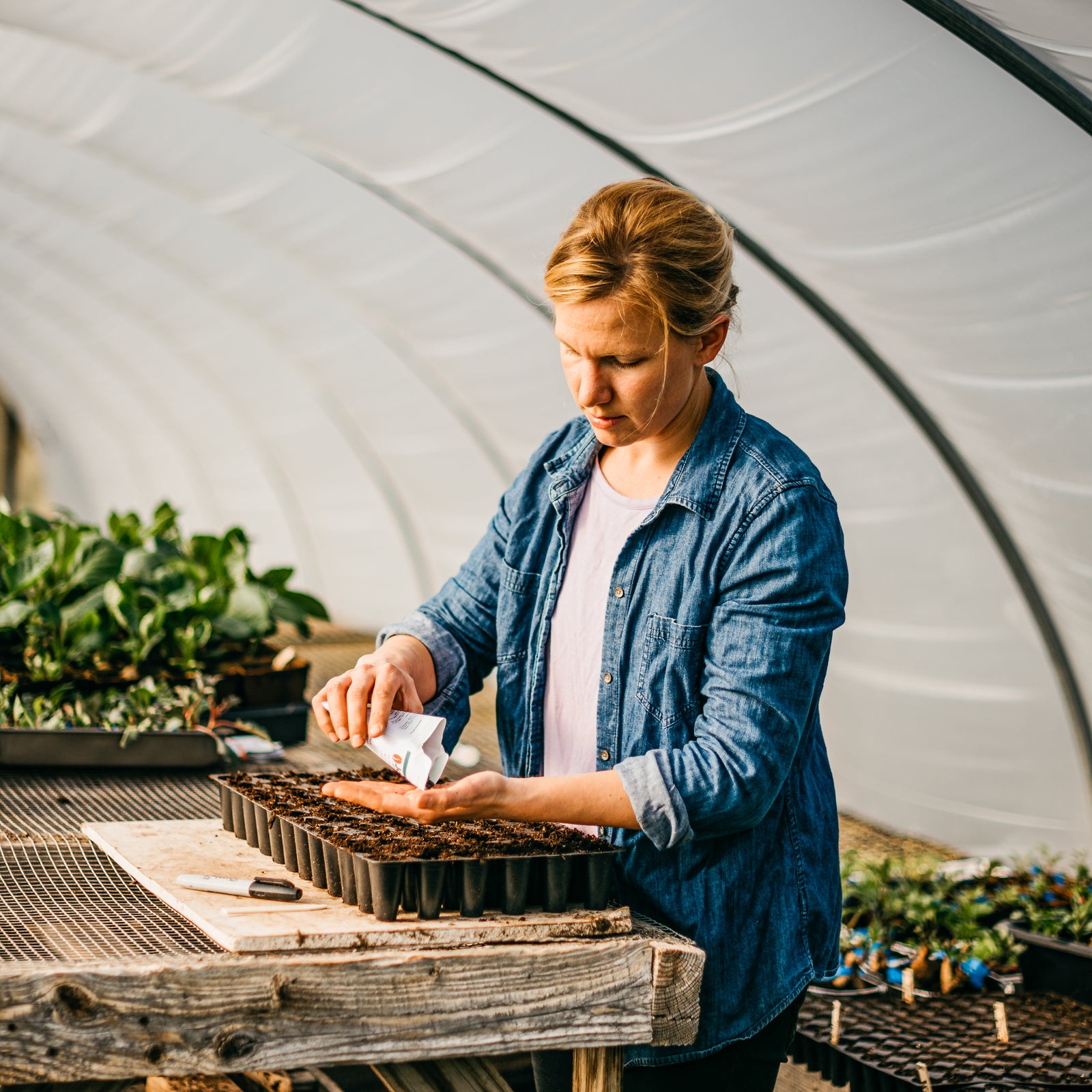 Workshops - Rooted Flowers